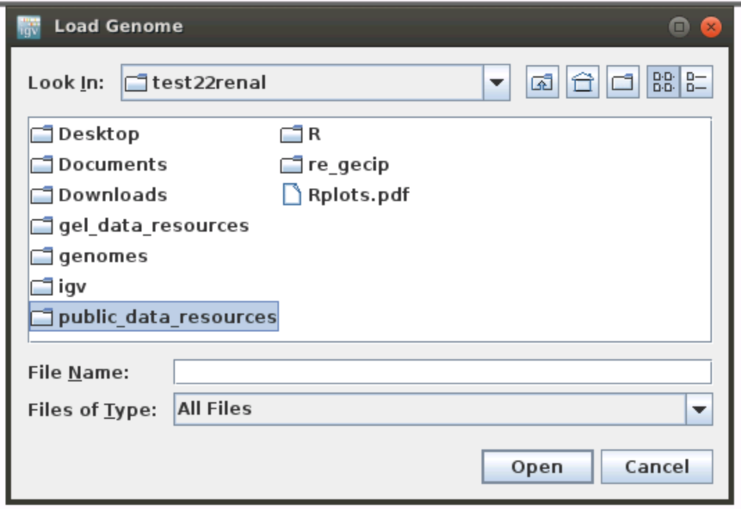 Integrative Genome Viewer (IGV) - Genomics England Trusted Research Environment User Guide