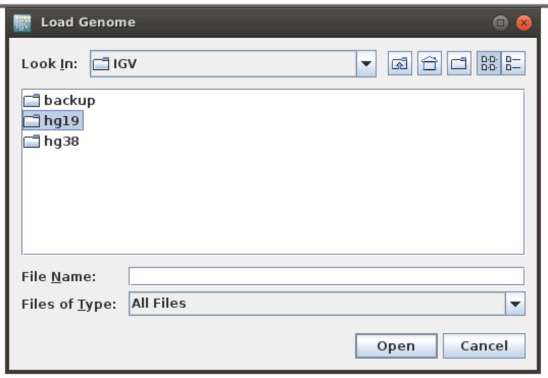 Integrative Genome Viewer (IGV) - Genomics England Trusted Research ...