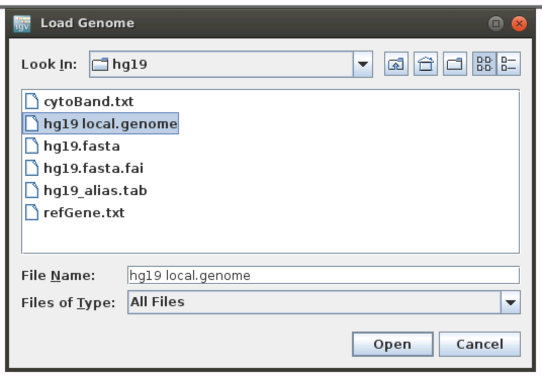 Integrative Genome Viewer (IGV) - Genomics England Trusted Research Environment User Guide