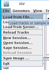 Integrative Genome Viewer (IGV) - Genomics England Trusted Research Environment User Guide