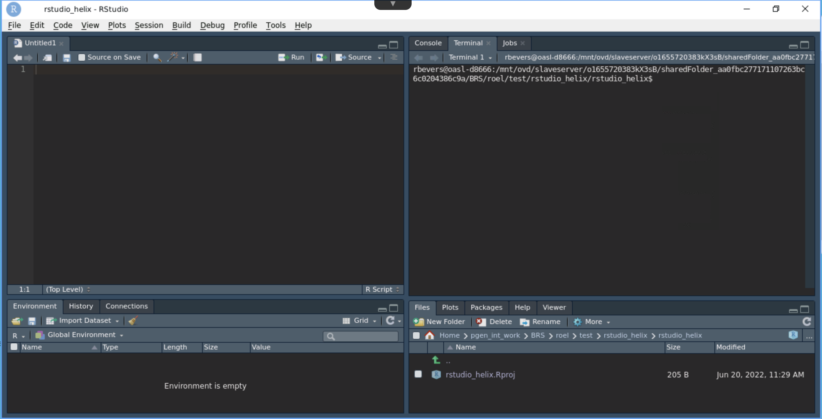 Enable the Terminal in Rstudio - Genomics England Trusted Research ...